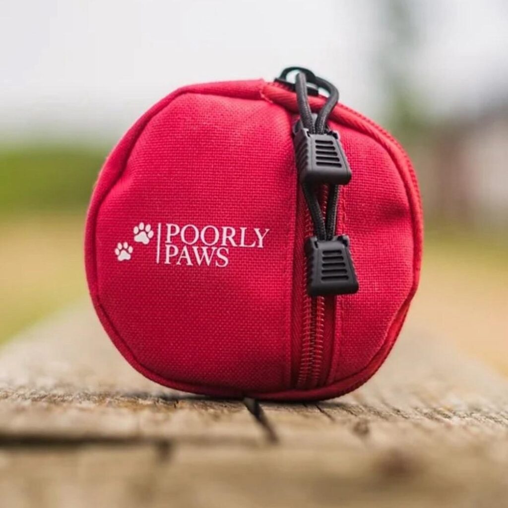 Poorly Paws | Dog First Aid Kit – Austonley Irish Wolfhounds